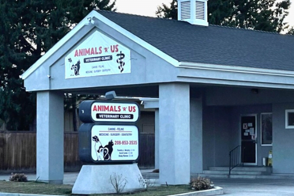 Contact Thank - Animals 'R' Us