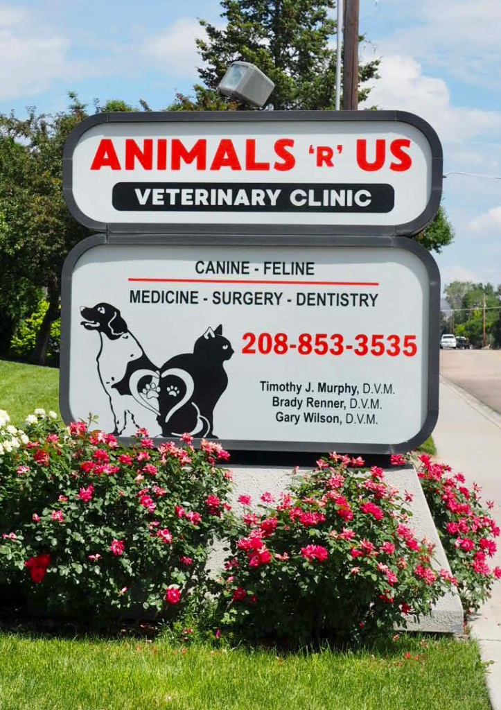 Veterinarian in Boise, ID | Trusted Vet Care | Contact Our Animal Hospital